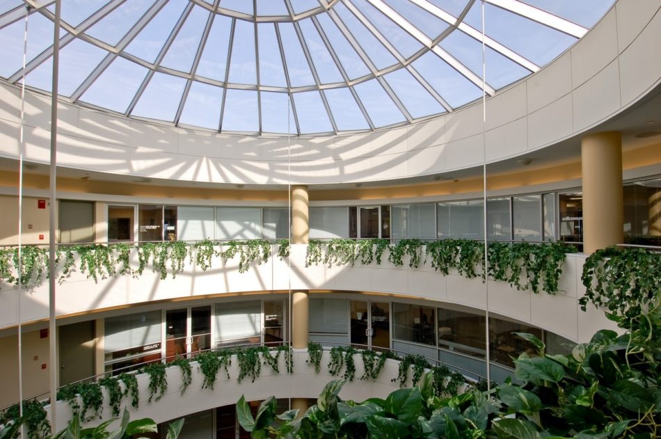 Facial Plastic Surgery Oakbrook Terrace | Botox Oakbrook Terrace | IL